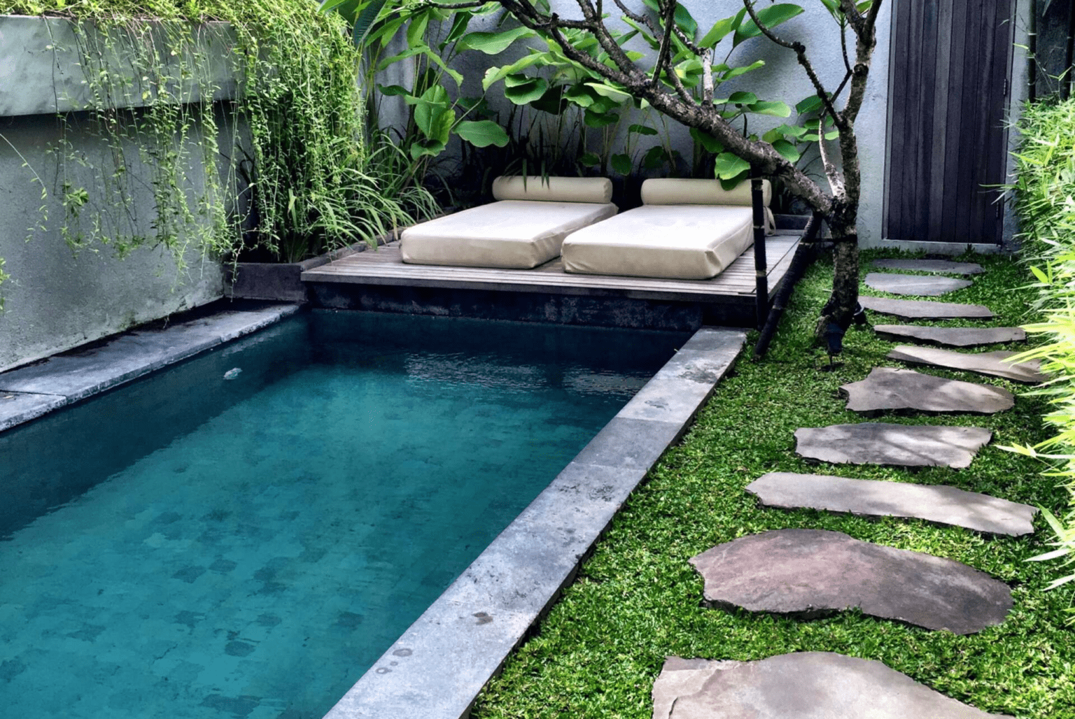 Home - Placid Pools - Cairns Pool Construction Specialists